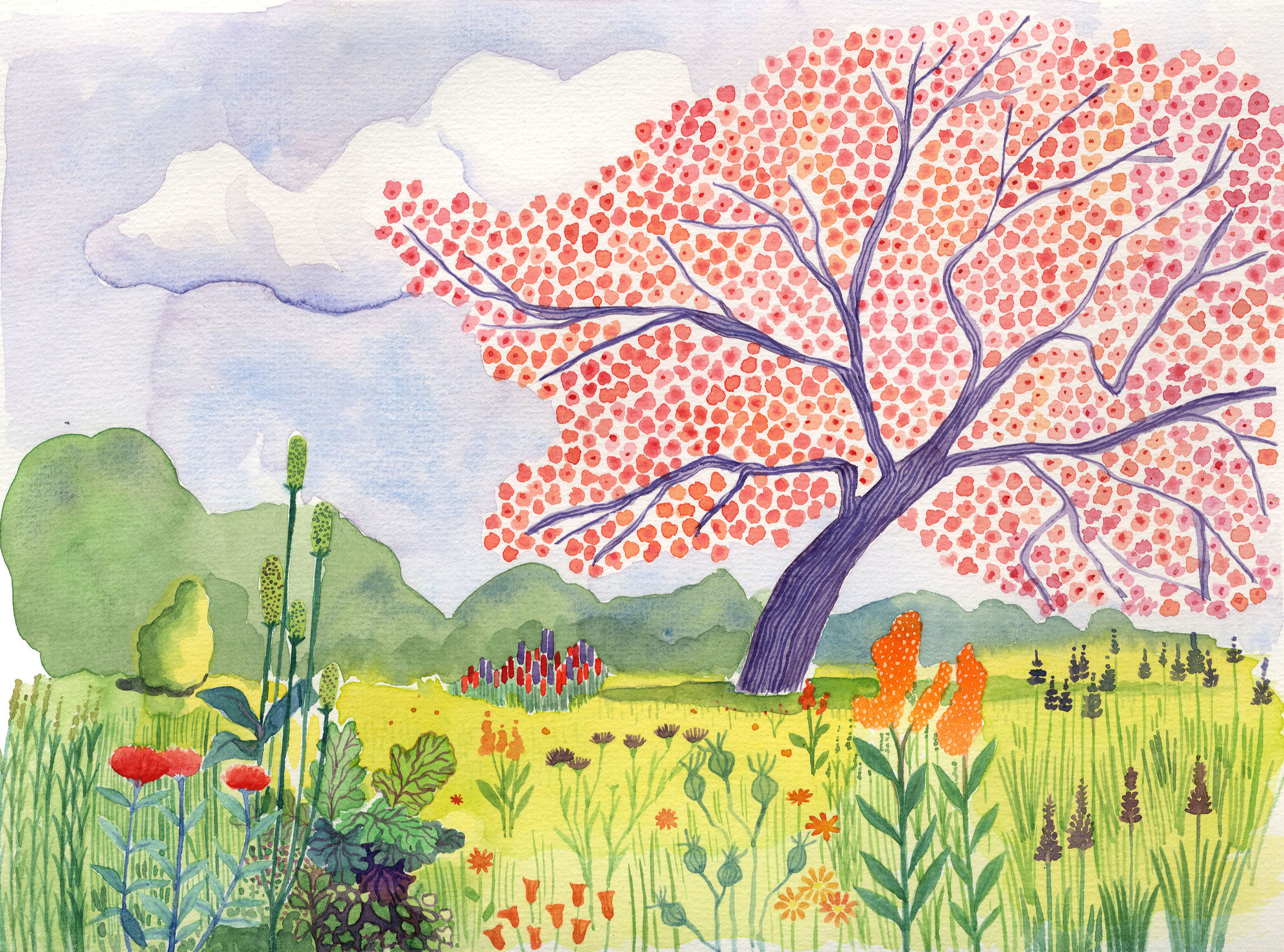 Alice sarrauste/ | Portfolio